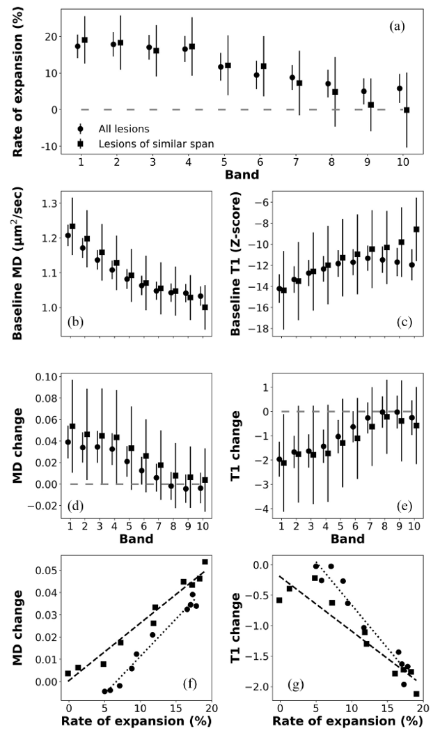 The expansion and severity of chronic MS lesions follows a ...
